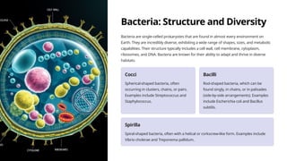 Introduction to Microorganisms on Slideshare by Raj Kumar Mandal | PDF