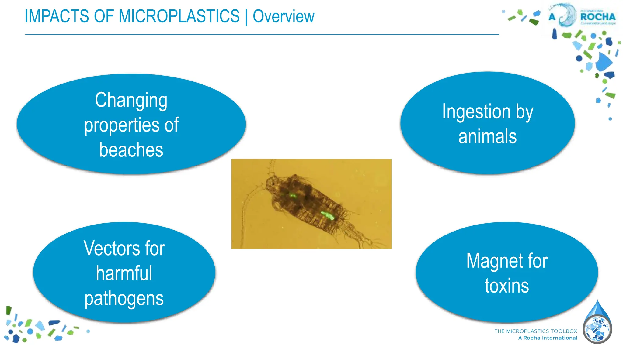 Introduction-to-microplastics-v1.1.pptx