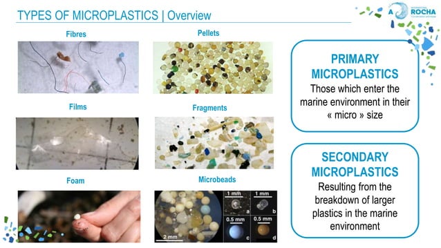 Introduction-to-microplastics-v1.1.pptx