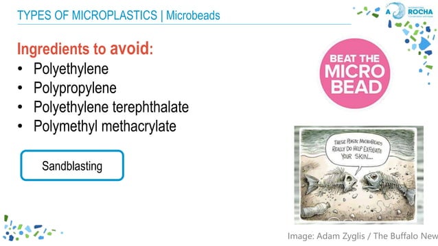 Introduction-to-microplastics-v1.1.pptx