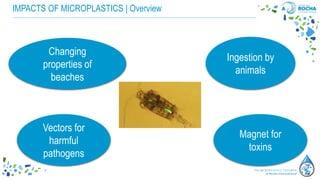Introduction-to-microplastics-v1.1.pptx