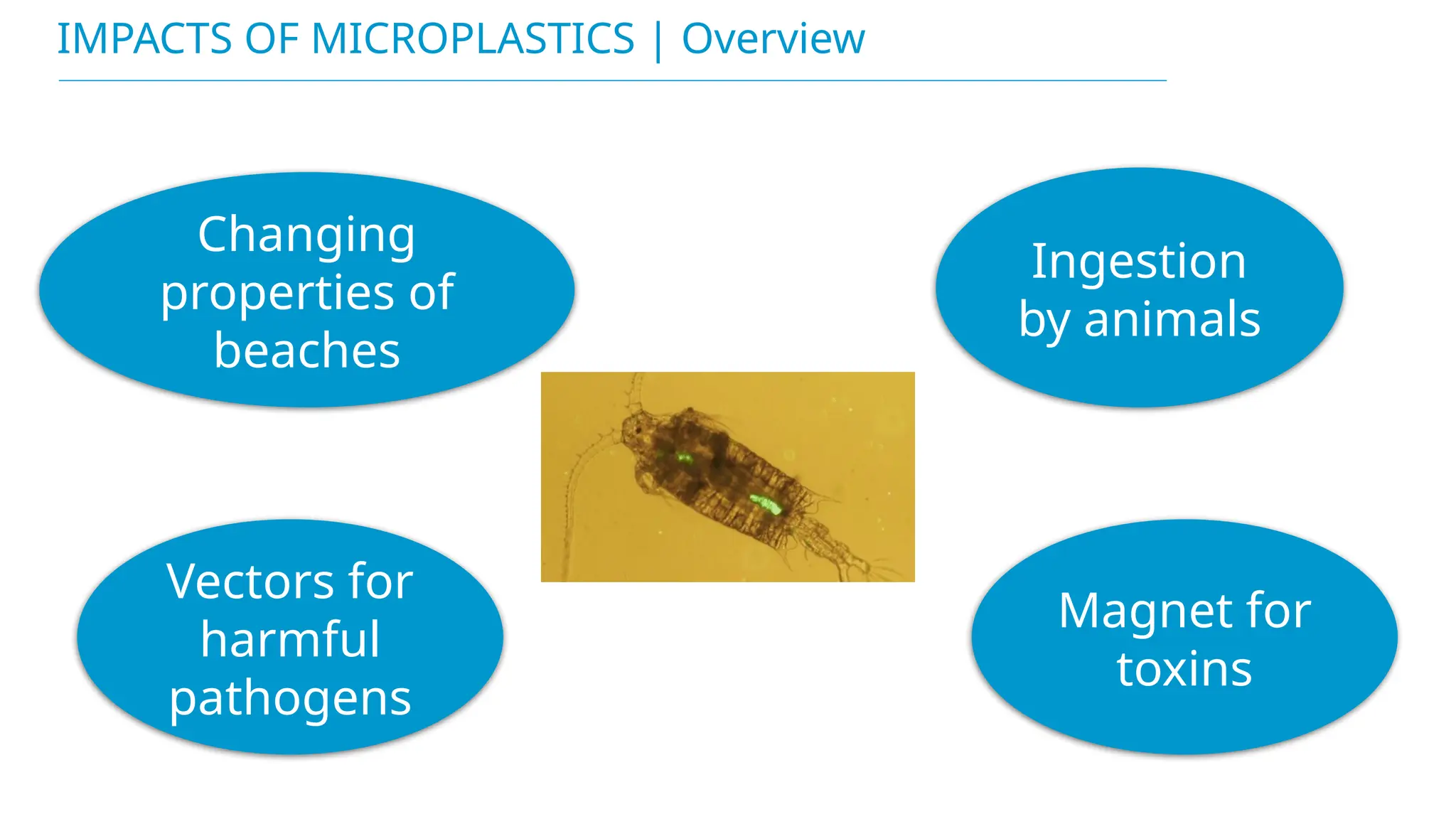 Introduction-to-microplastics-v1.2 (1).pptx