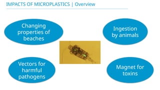 Introduction-to-microplastics-v1.2 (1).pptx