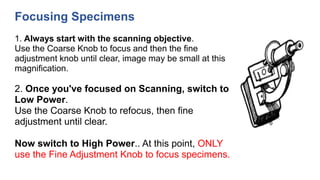 Introduction-to-Microscopy.pptx