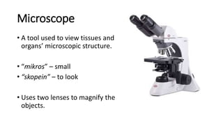 Introduction-to-Microscopy.pptx