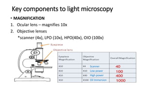 Introduction-to-Microscopy.pptx