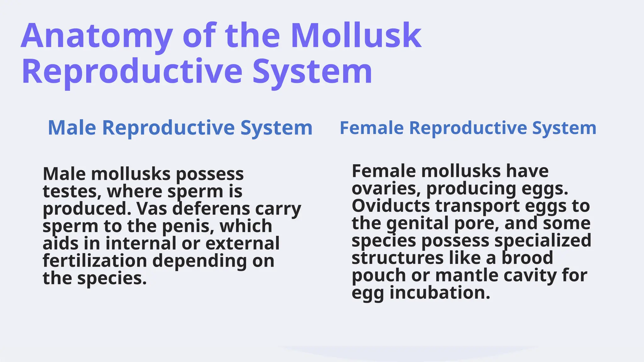 Introduction-to-Mollusk-Reproductive-Physiology.pptx
