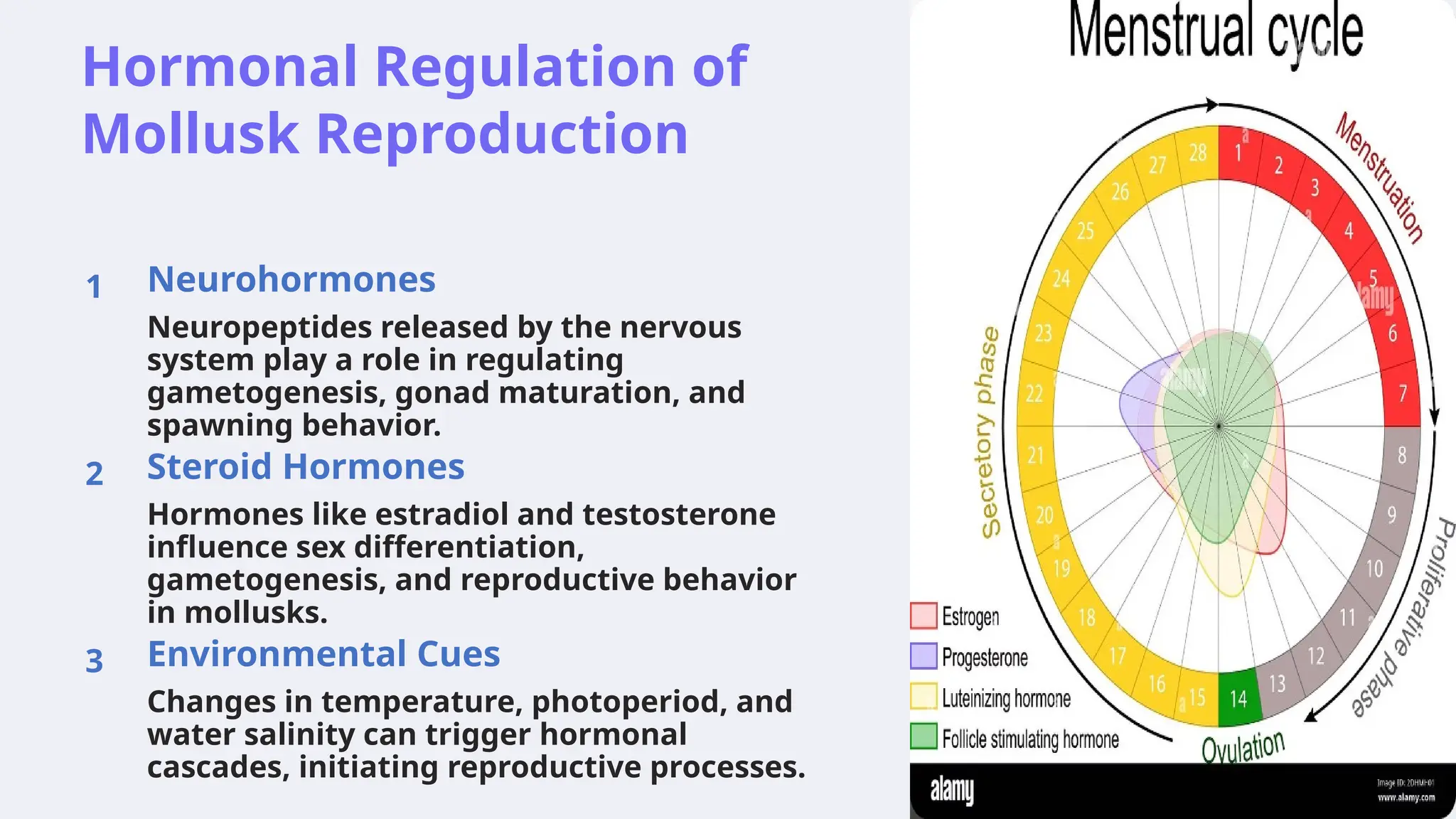 Introduction-to-Mollusk-Reproductive-Physiology.pptx