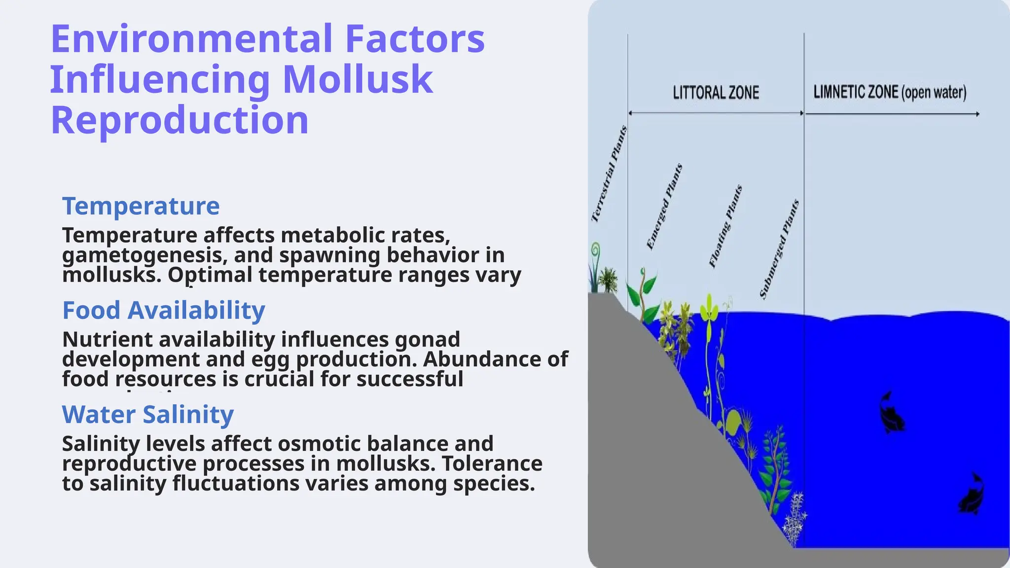Introduction-to-Mollusk-Reproductive-Physiology.pptx