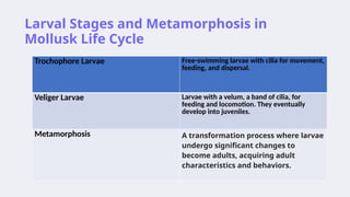 Introduction-to-Mollusk-Reproductive-Physiology.pptx