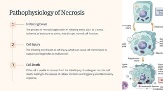 Introduction to Necrosis ,Cell death: necrosis, injury, infection. | PPT