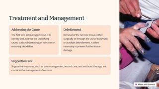 Introduction to Necrosis ,Cell death: necrosis, injury, infection. | PPT