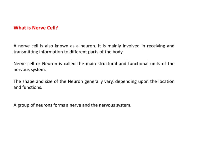 A neural network is a system of intercon | PPT