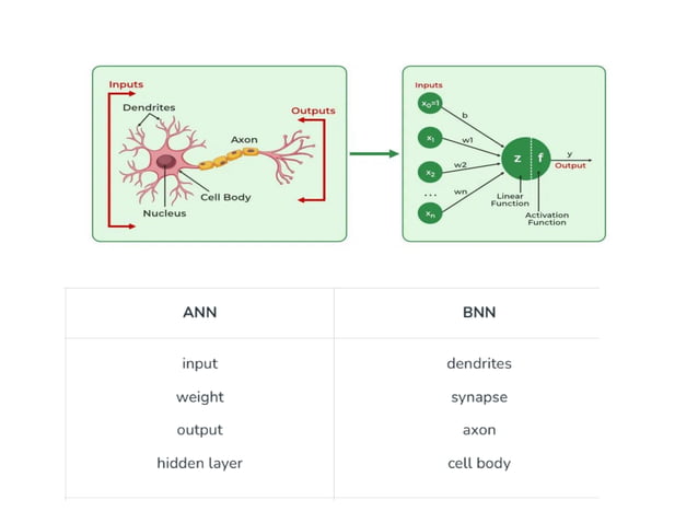 A neural network is a system of intercon | PPT