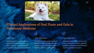 Introduction-to-Oral-Paste-and-Gels-in-Veterinary-Drug-Delivery 2.pptx