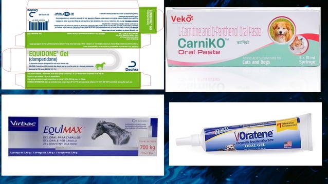 Introduction-to-Oral-Paste-and-Gels-in-Veterinary-Drug-Delivery 2.pptx