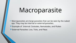 INTRODUCTION TO PARASITOLOGY POWERPOIINT | PPTX