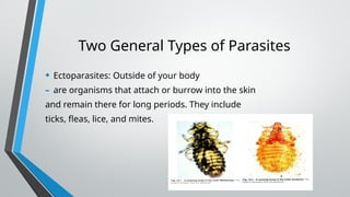 INTRODUCTION TO PARASITOLOGY POWERPOIINT | PPTX