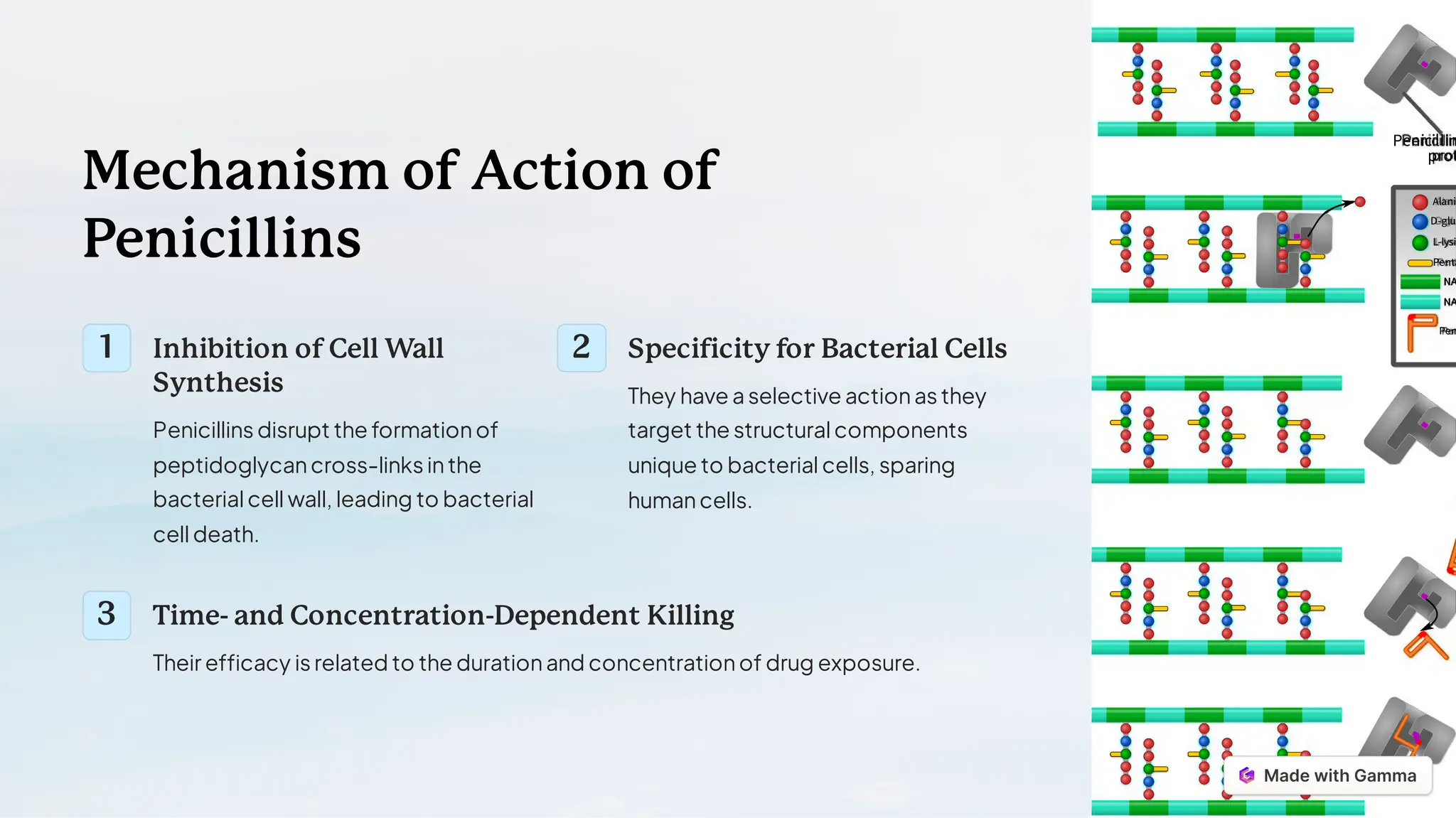 Introduction-to-Penicillins-Chemotherapy in brief.pdf