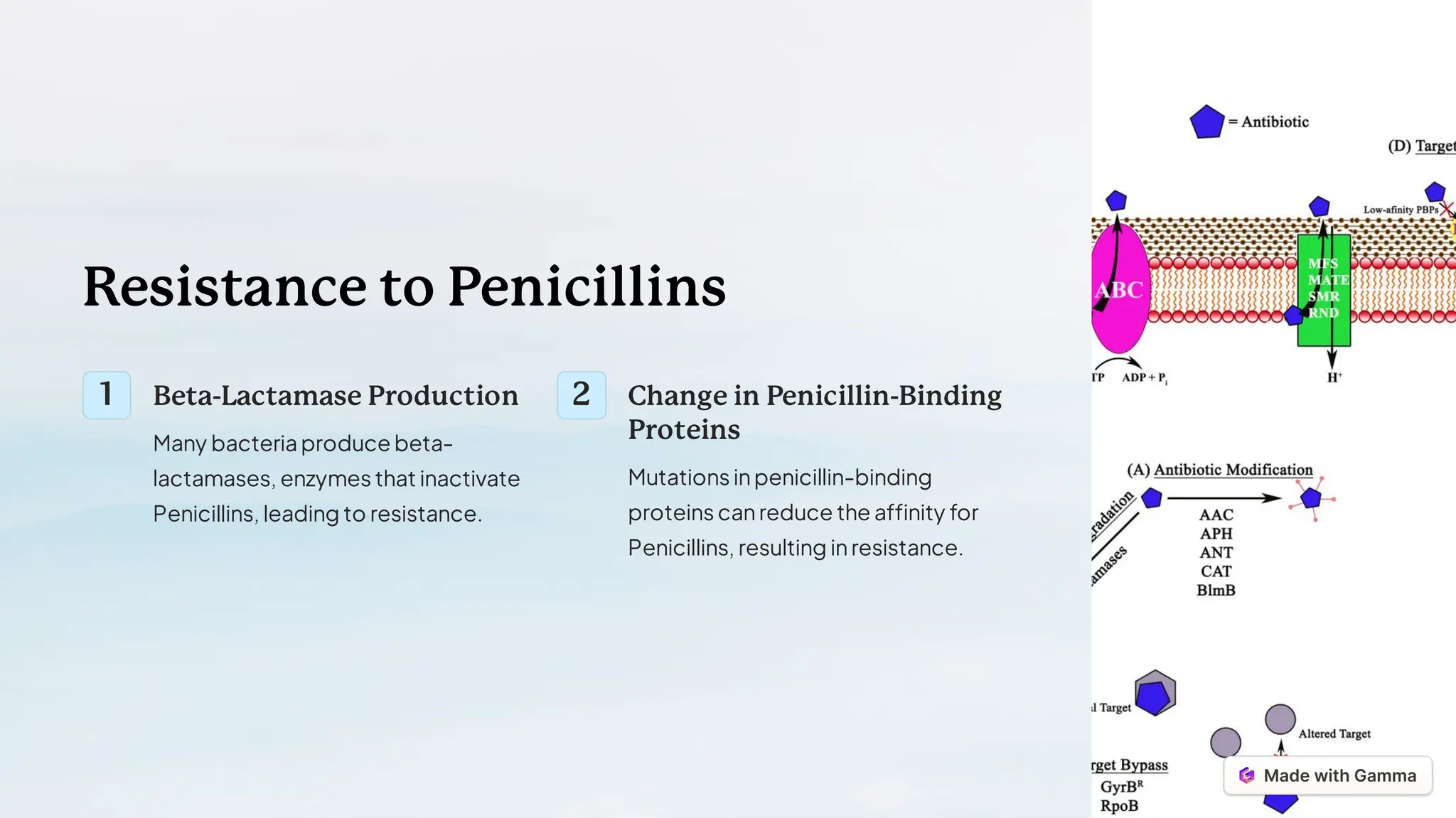 Introduction-to-Penicillins-Chemotherapy in brief.pdf