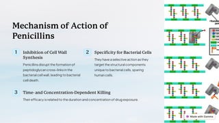 Introduction-to-Penicillins-Chemotherapy in brief.pdf