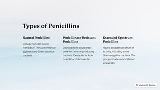 Introduction-to-Penicillins-Chemotherapy in brief.pdf