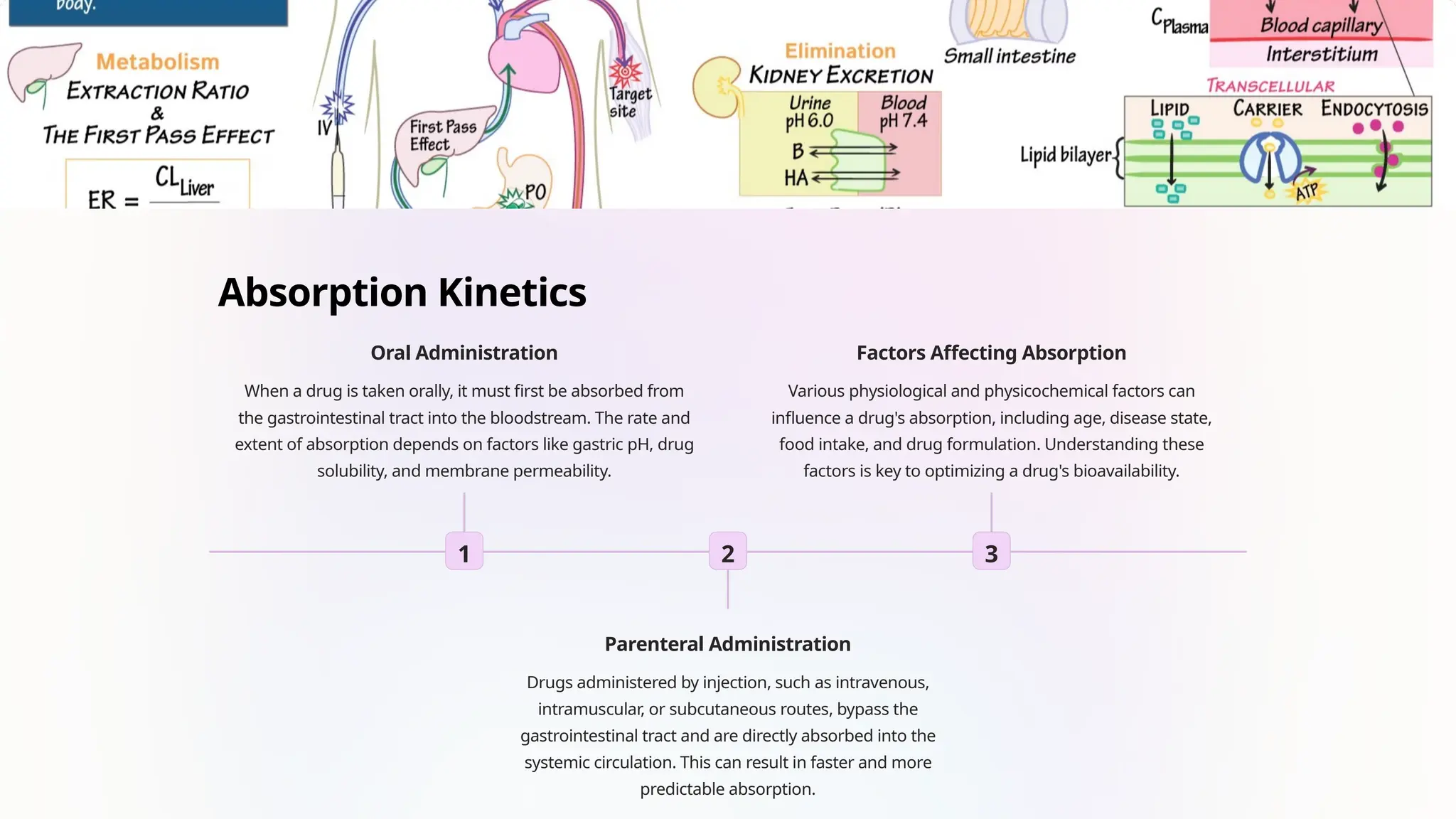 Introduction and Background to Pharmacokinetics | PPT | Free Download