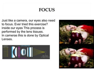 Introduction to-photography | PPT