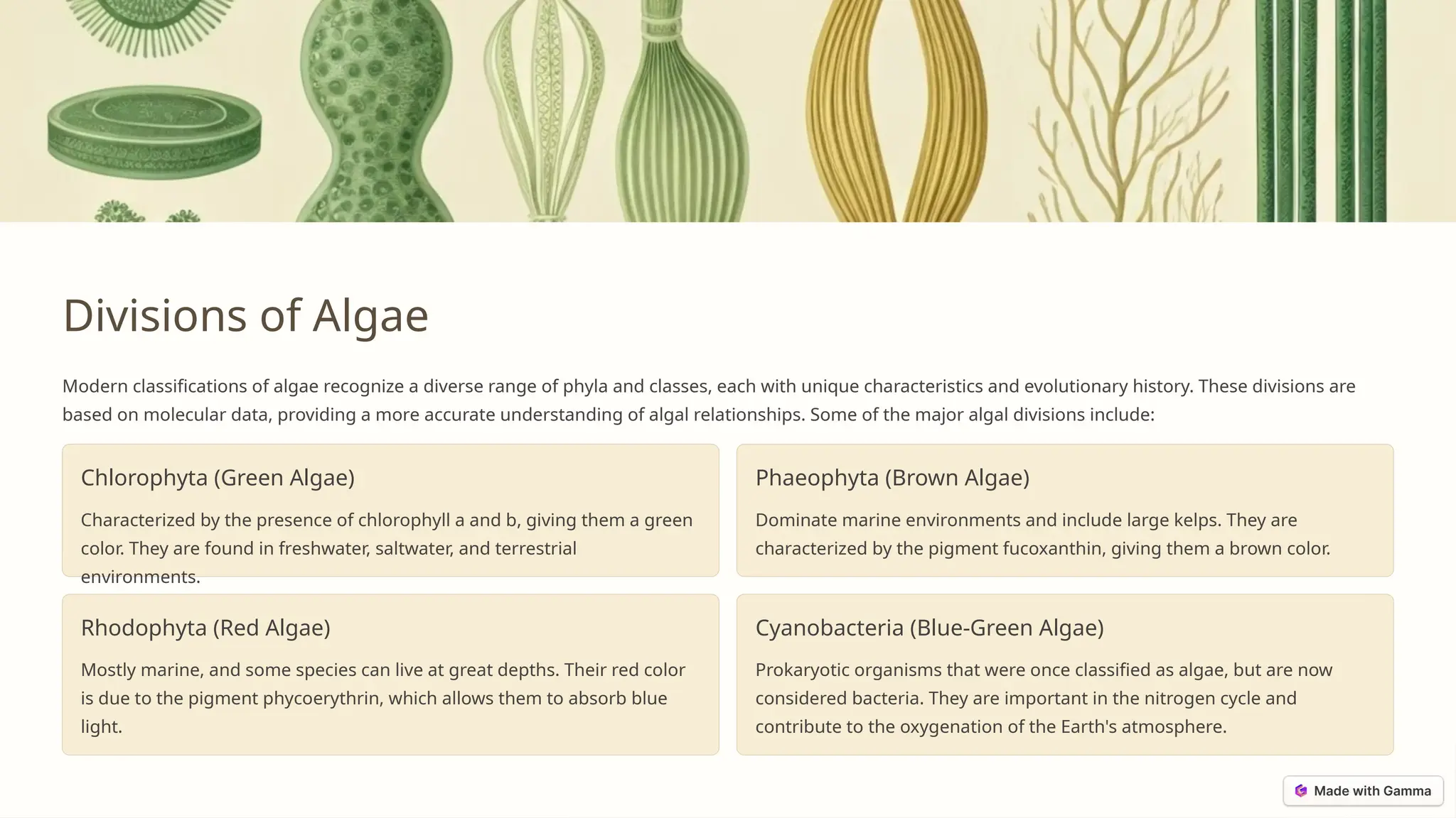 Introduction-to-Phycology.pptx.............. | PPTX