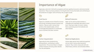 Introduction-to-Phycology.pptx.............. | PPTX