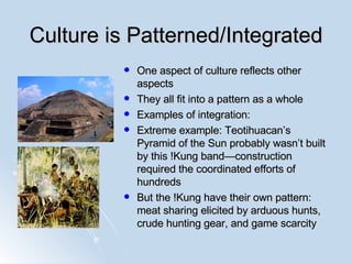 Introduction to Physical Anthropology | PPT
