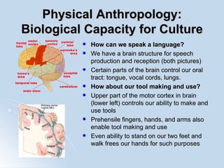 Introduction to Physical Anthropology | PPT