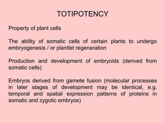 Introduction-to-Plant-Cell-Culture-lec1.ppt | Infertility ...