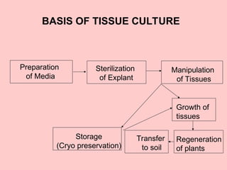 Introduction-to-Plant-Cell-Culture-lec1.ppt