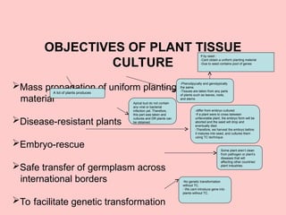 Introduction-to-Plant-Cell-Culture-lec1.ppt