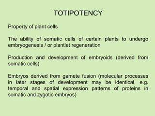 Introduction-to-Plant-Cell-Culture-lec1 (1).ppt | Infertility ...