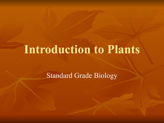 Introduction-to-Plants-1 ...