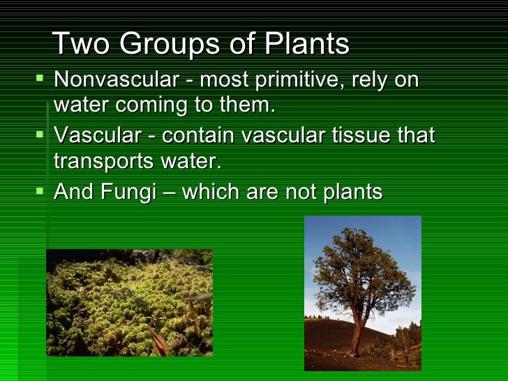 All Categories - phonegoodsite