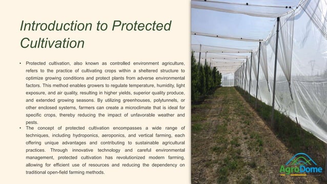 Introduction To Protected Cultivationpptx Agriculture Industries