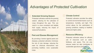 Introduction-to-Protected-Cultivation.pptx