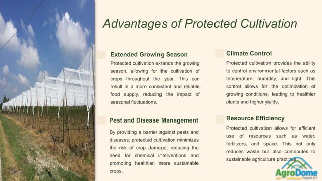 Introduction To Protected Cultivationpptx Agriculture Industries