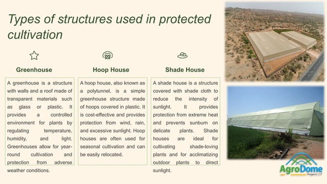Introduction To Protected Cultivationpptx Agriculture Industries