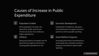 Introduction-to-Public-Expenditures.pptx | Business Accounting ...