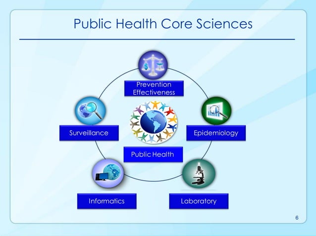 introduction-to-public-health-informatics.pdf | Databases | Computer ...