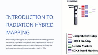 Introduction-to-Radiation-Hybrid-Mapping_(2)[1] - Read-Only.pptx