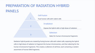 Introduction-to-Radiation-Hybrid-Mapping_(2)[1] - Read-Only.pptx