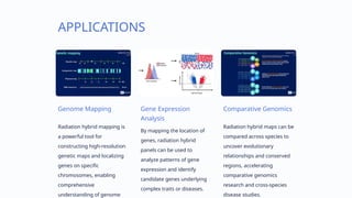 Introduction-to-Radiation-Hybrid-Mapping_(2)[1] - Read-Only.pptx
