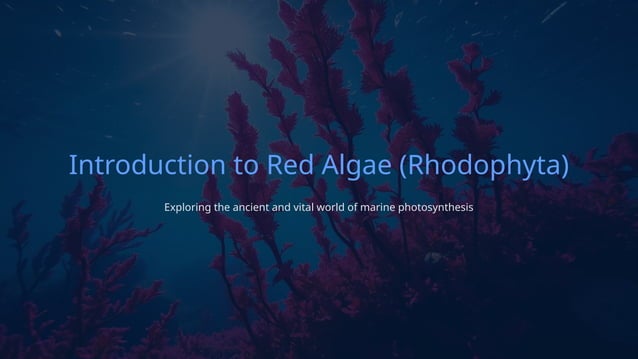 Introduction-to-Red-Algae-Rhodophyta.pptx