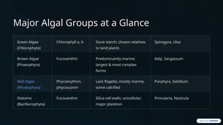 Introduction-to-Red-Algae-Rhodophyta.pptx