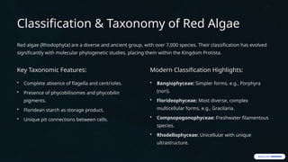 Introduction-to-Red-Algae-Rhodophyta.pptx